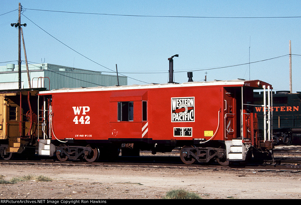 WP 442 wp-442